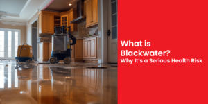 What Is Blackwater Understanding the Health Risks