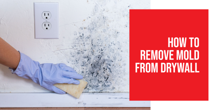 Safely Remove Mold From Drywall | SOS Restoration